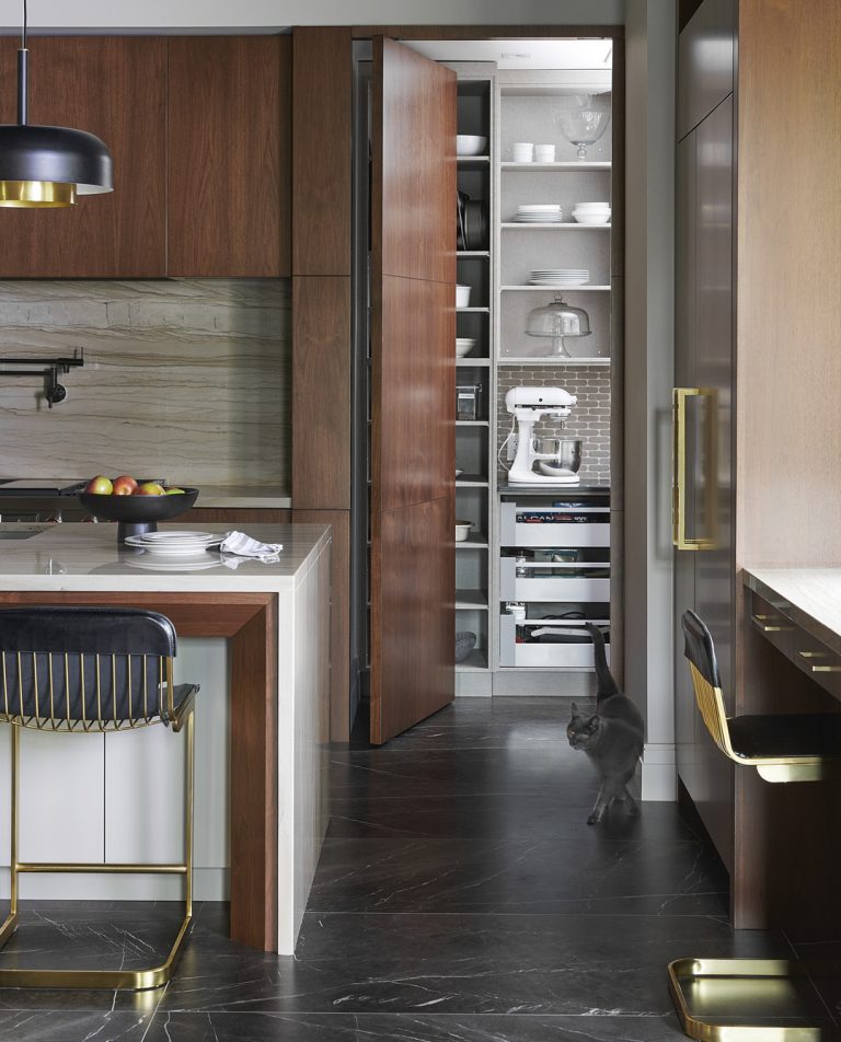 Sleek Lounge - Alison Knapp Interior Design